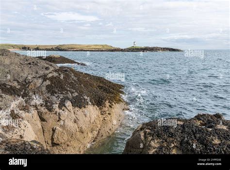 Elie Ness Lighthouse Across Ruby Bay Wood Haven Elie Fife Scotland