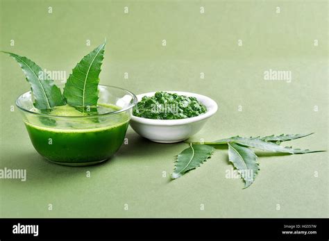 Medicinal Neem Leaves Paste And Juice With Leaves On Green Background