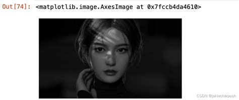 Python图像处理笔记 3 导入matplotlib 将转换后的ndarray重新绘制成图像 CSDN博客