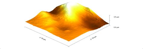 Afm Image Of An Asa Modified Tmsc Film Download Scientific Diagram