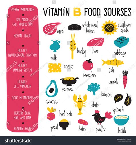Vitamin B Complex Sources Những Nguồn Thực Phẩm Cung Cấp Vitamin B Tốt