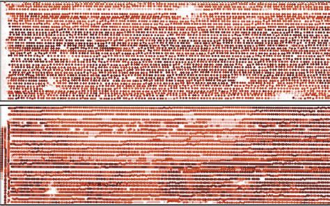 Site Specific Farming Yield Mapping And Use Of Yield Map Data NDSU Agriculture