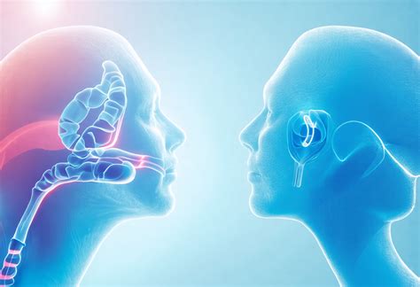 Esophageal Cancer Treatment Options Healthtrip