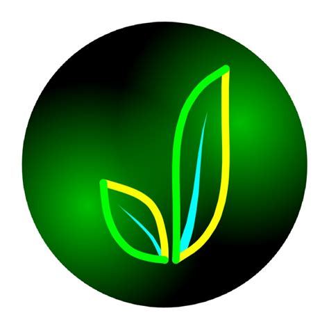 Jinan جنان Amman