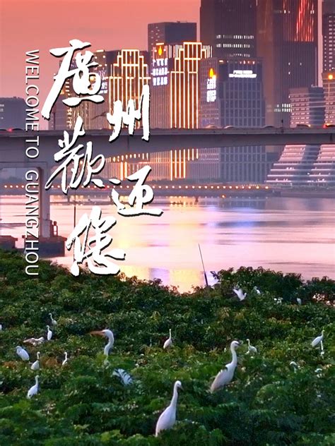 活力广州 荔视频