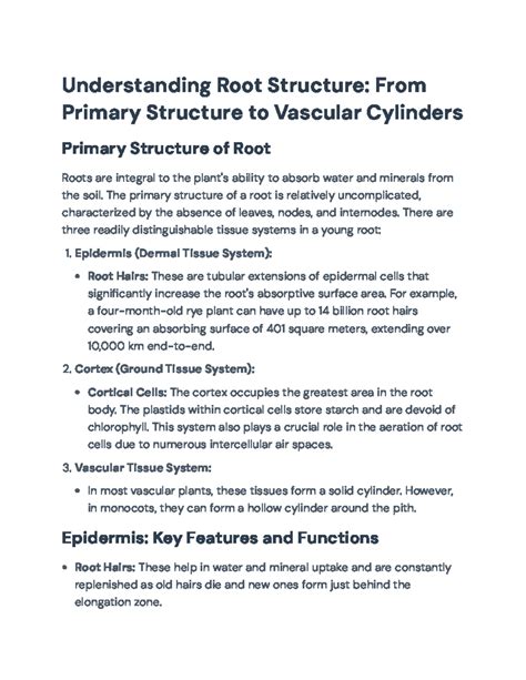 Understanding Root Structure Primary Cortex And Vascular Systems