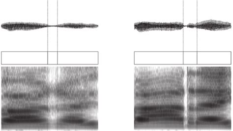 Oscillogram And Spectrogram Representing Example Segmentation Of