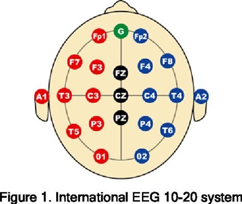 Figure 1 From Eeg Analysis Of Frontal Lobe Activities By Decision Stimuli Semantic Scholar