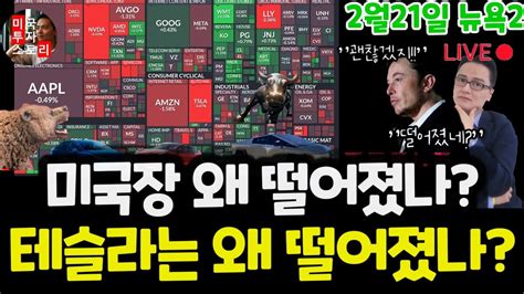 미국주식시황오늘 왜 떨어졌나 테슬라는 왜 더 떨어졌나 엔비디아는 왜 폭락했나구글 애플 아마존 메타 마이크로소프트 리비안 소파이 팔란티어 아이온큐등 Tsla