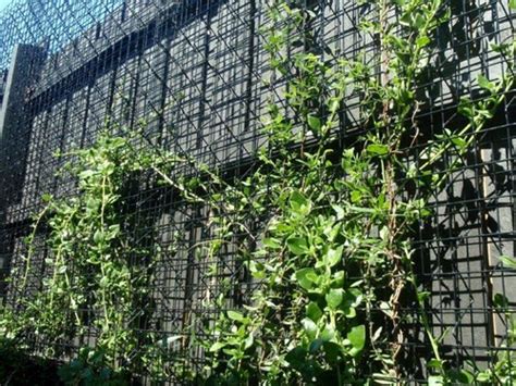 About The Product Archbar