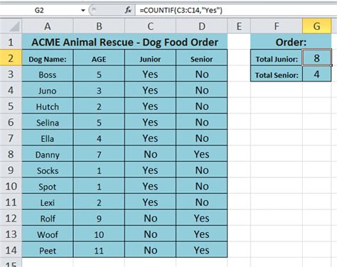 How To Use COUNTIF Excel Tutorial