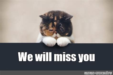 We Miss You Cat