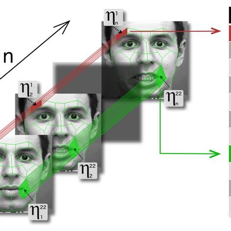 Pdf Consistent Optical Flow Maps For Full And Micro Facial Expression
