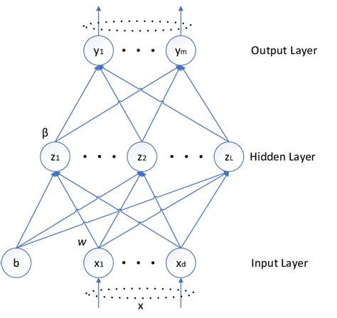 Single Hidden Layer Feedforward Network Architecture 17 Download