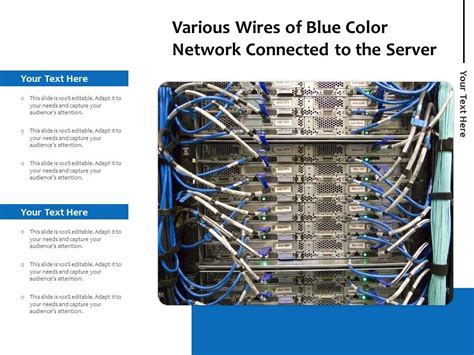 Various Wires Of Blue Color Network Connected To The Server Ppt PowerPoint Presentation Gallery