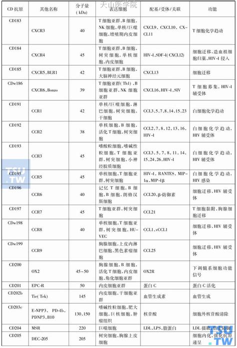 血细胞分化抗原 血液病学 天山医学院