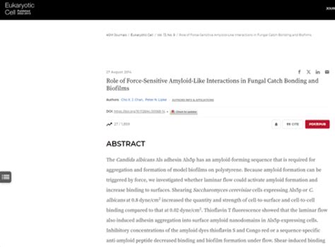 Role Of Force Sensitive Amyloid Like Interactions In Fungal Catch