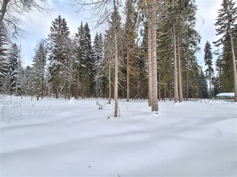 Земли сельхозназначения Московская область Дмитровский городской округ деревня Ваньково