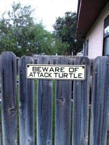 Funny Turtle Beware Of Attack Turtle Sign