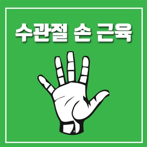 Medi Column 손 관절 손 근육 총 정리 네이버 블로그