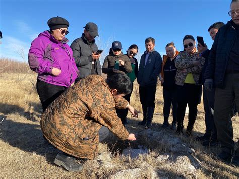 Wwf Mongolia Хэрлэн голын татмын ойн байгалийн сэргэн