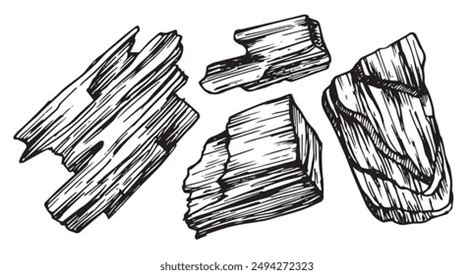 Set Charcoal Illustration Sketch Style Eco Stock Vector Royalty Free
