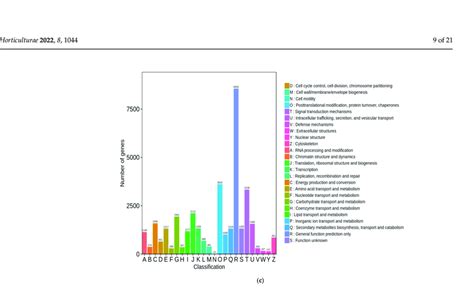 Assembly And Annotation Of The Transcriptome From The Pulp Of Feizixiao Download Scientific