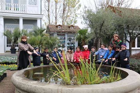 თბილისის N190 საჯარო სკოლის Ii კლასის მოსწავლეები დეკორატიული მცენარეების ბაღში იმყოფებოდნენ