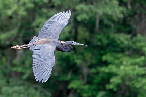 Daniel Wright Exploring Freelance Photography Stock Imagery Insights
