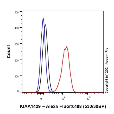 Anti Virmakiaa1429 Antibody Epr24279 23 Bsa And Azide Free