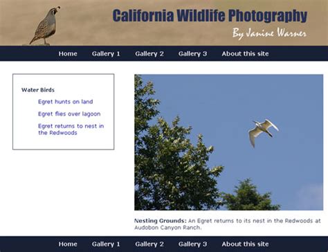 Save Time With Templates In Dreamweaver Layers Magazine