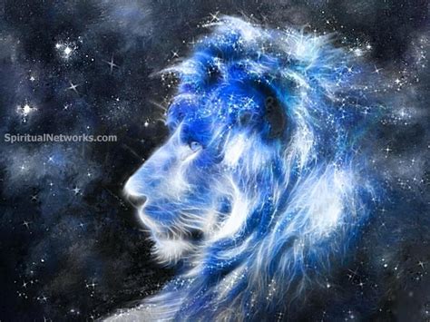 Fractal Cat Stunning Fractal Art Fractal Fractal Images