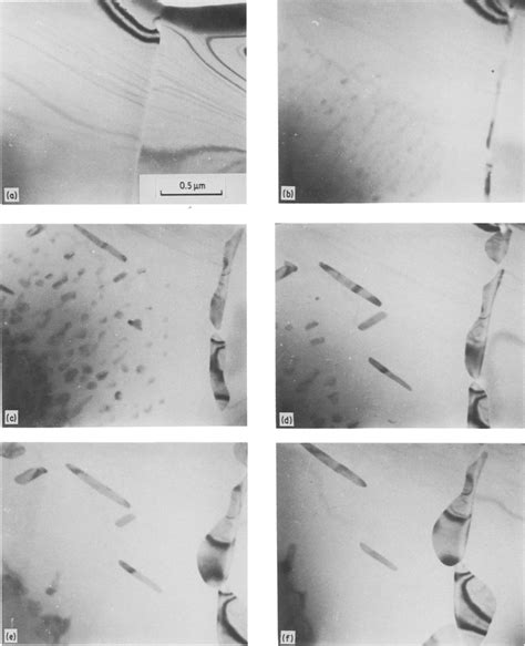 Microstructure Observed During Continuous Heating Of The Rapidly Download Scientific Diagram