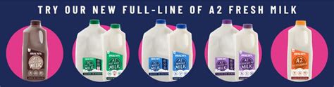 Fresh Milk Brands
