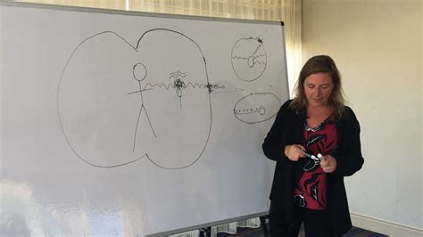 Eileen Mckusick Explains The Premise Of The Biofield Anatomy Hypothesis