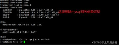 Linux安装MySQL教程带图文命令巨详细 CSDN博客