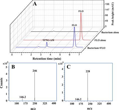 HPLC And LC MS Analysis A HPLC Analysis Of The Degradation Of FLO By Download Scientific