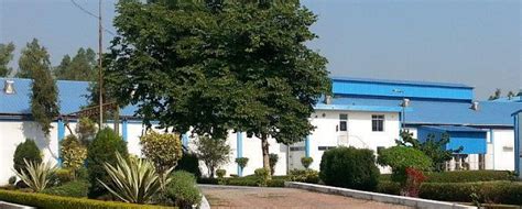 India Meerut Nipro