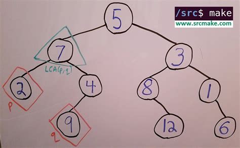 Common Ancestor Binary Tree