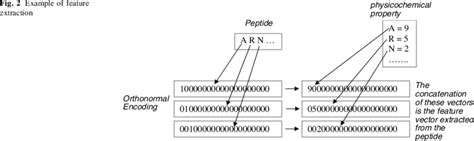 Example Of Feature Extraction Download Scientific Diagram
