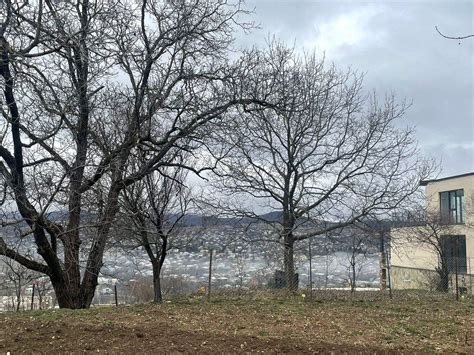 სოფლის სახლების აგარაკებისა და ნაკვეთების ყიდვა გაყიდვა სასწრაფოდ ️ ️ ️