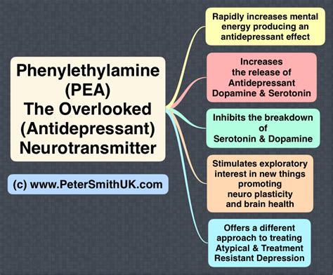 Is Deficient Phenylethylamine Causing Your Depression