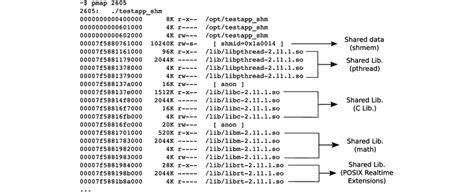 Memory Map Example Captured By Using Pmap Command Download Scientific Diagram