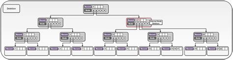 42 Deletion On An Internal Node Part 1 Download Scientific Diagram