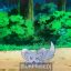 My Saved Resources Tumblr Com Tumbex