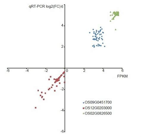 Correlation Between QPCR Results And FPKM Values For Three Genes In The Download Scientific