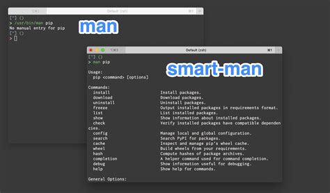 Github Rtakasukezsh Smart Man Zsh Plugin For Smart Man Command