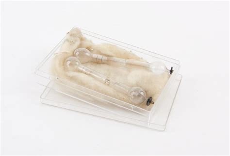 Bunsens Apparatus For Determining Specific Gravity Of Gases Science