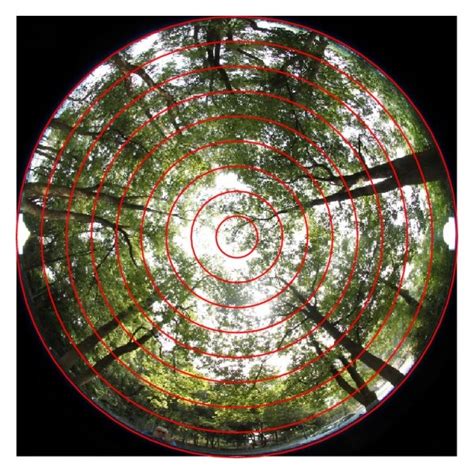 Calculation Of Canopy Gap Fraction From Hemispherical Photographs