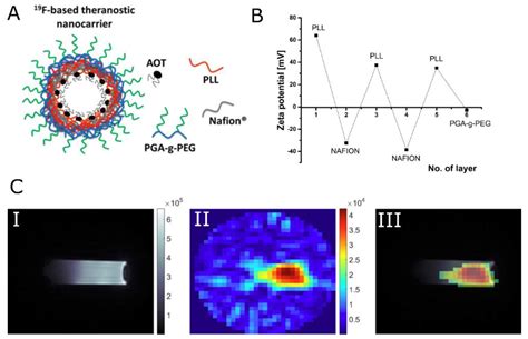 Contrasting Properties of Polymeric Nanocarriers for MRI-Guided Drug Delivery